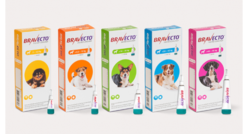 Bravecto Spot On Dog - MSD Animal Health Belgium