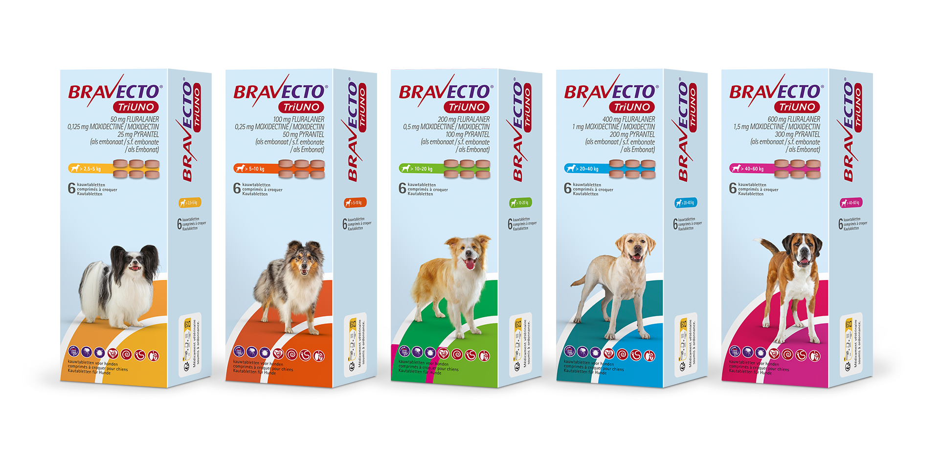 Bravecto TriUNO voor honden - MSD Animal Health Belgium